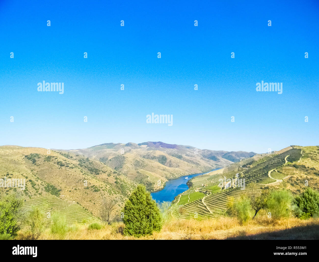 Foz coa portugal hi-res stock photography and images - Alamy