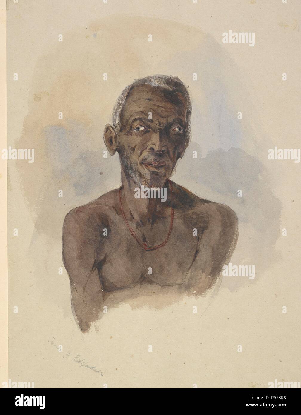 Portrait of an Indigenous person of South America. Portraits of Indians ...