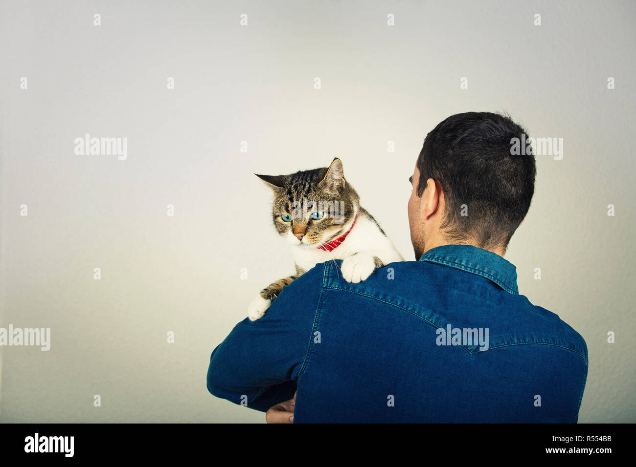 Love for pet hi-res stock photography and images - Alamy