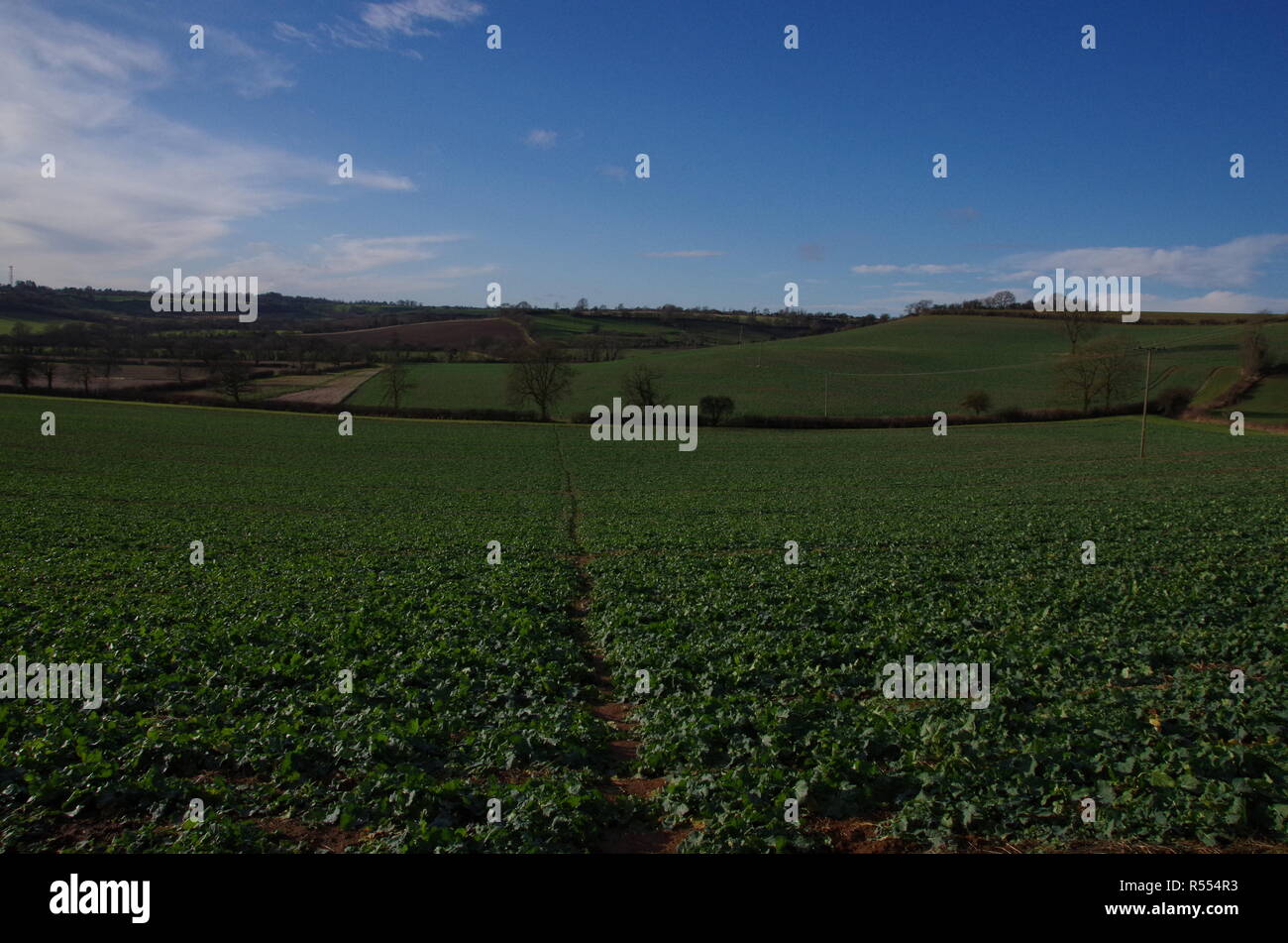 The Macmillan Way. Long-distance trail. England. UK Stock Photo - Alamy