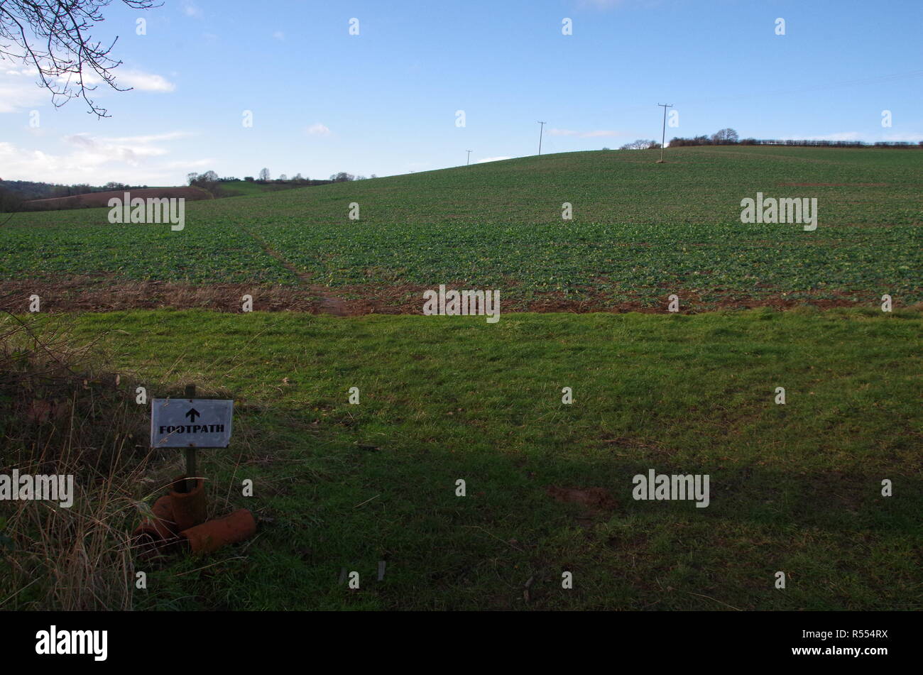 The Macmillan Way. Long-distance trail. England. UK Stock Photo - Alamy