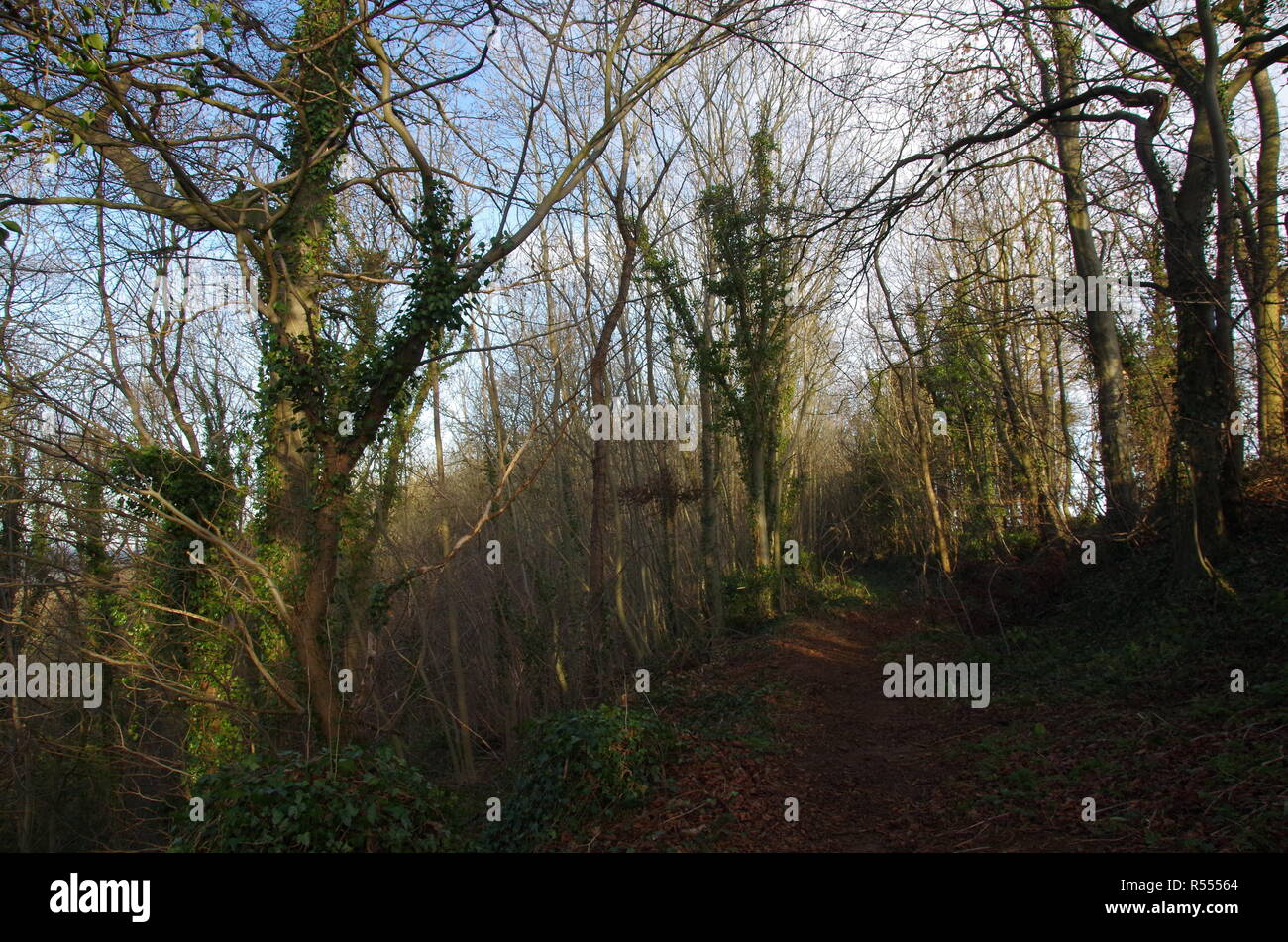 Edgehill site of Battle of Edgehill. The Macmillan Way. Long-distance ...