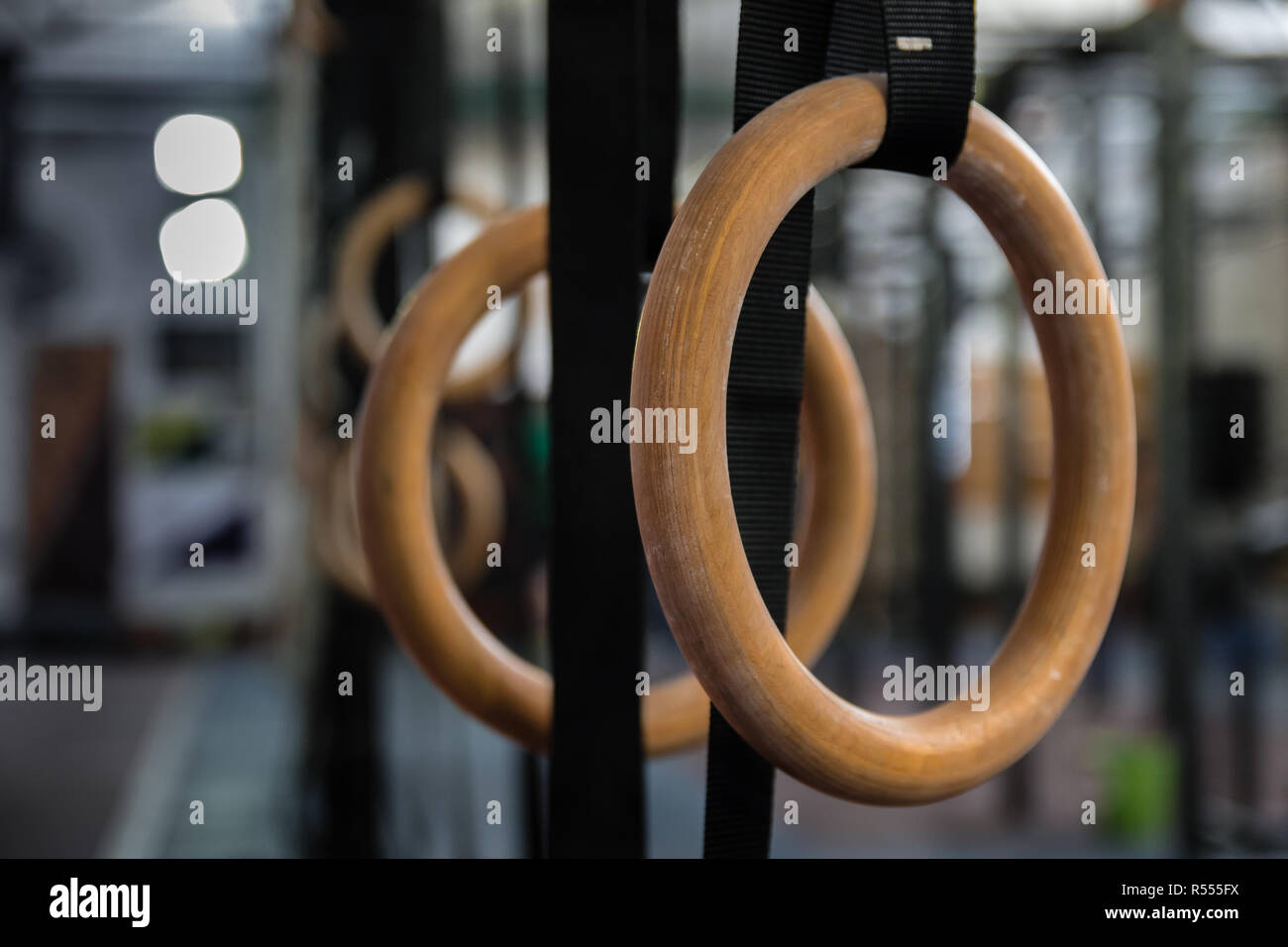 Gymnastic Rings In Gym at Lynn Craig blog
