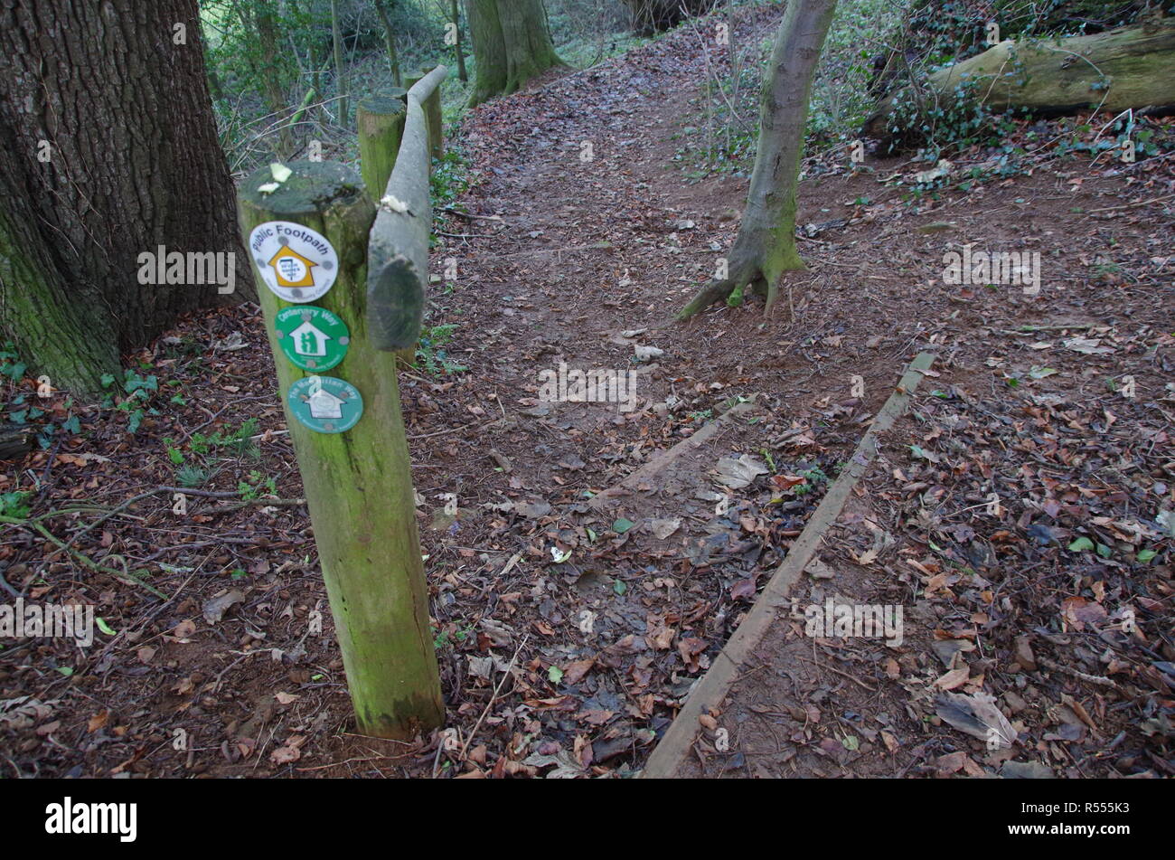 Edgehill site of Battle of Edgehill. The Macmillan Way. Long-distance ...