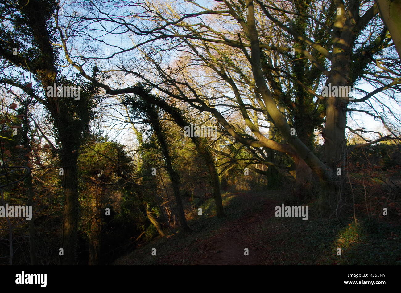 Edgehill site of Battle of Edgehill. The Macmillan Way. Long-distance ...