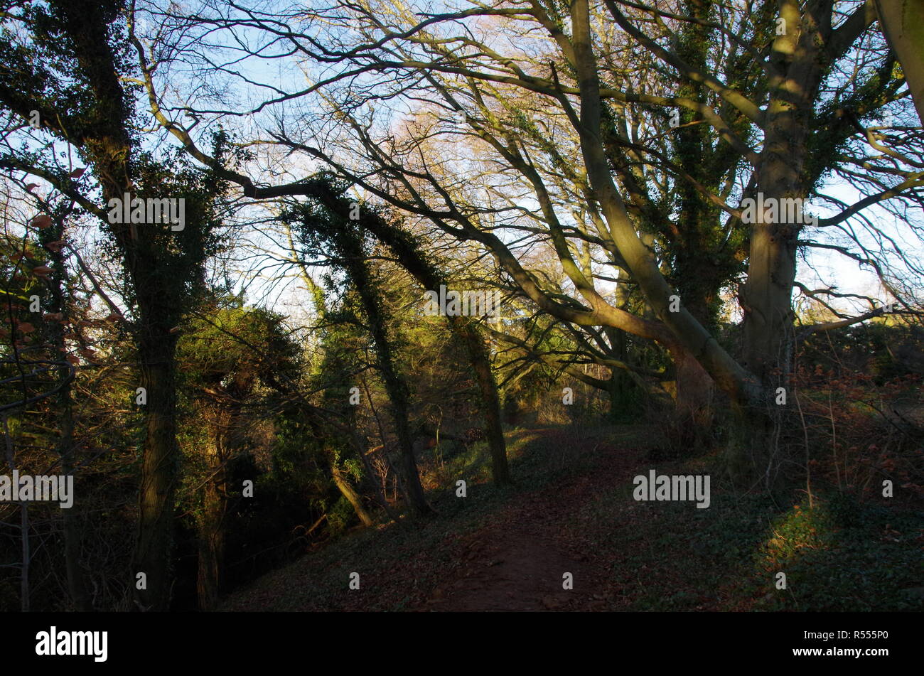 Edgehill site of Battle of Edgehill. The Macmillan Way. Long-distance ...