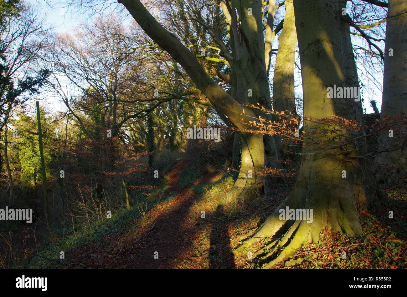 Edgehill site of Battle of Edgehill. The Macmillan Way. Long-distance ...