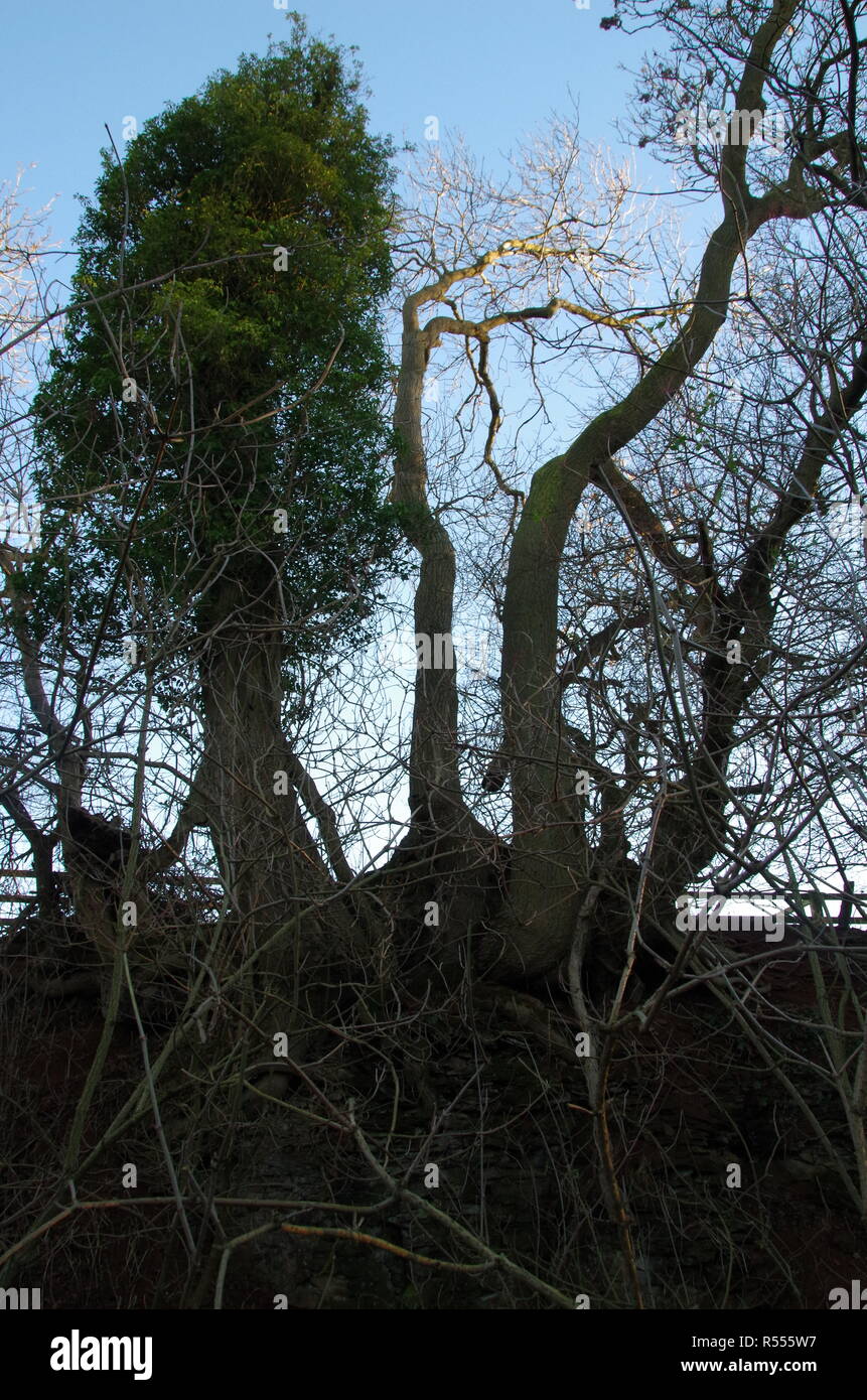 Edgehill site of Battle of Edgehill. The Macmillan Way. Long-distance ...