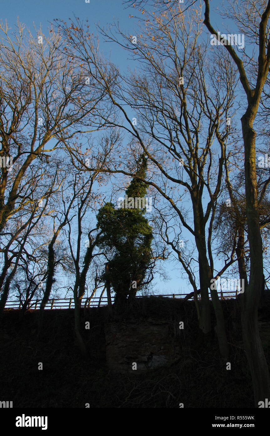 Edgehill site of Battle of Edgehill. The Macmillan Way. Long-distance ...