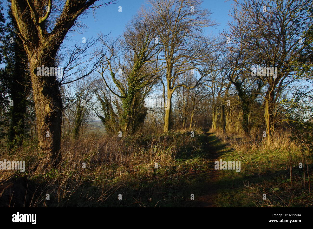 Edgehill site of Battle of Edgehill. The Macmillan Way. Long-distance ...