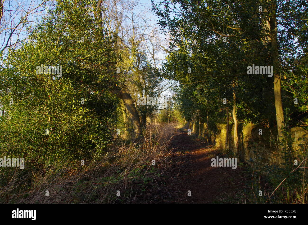 Edgehill site of Battle of Edgehill. The Macmillan Way. Long-distance ...