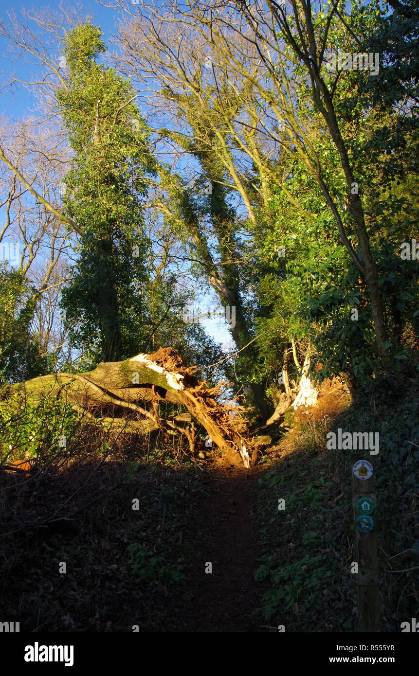 Edgehill site of Battle of Edgehill. The Macmillan Way. Long-distance ...