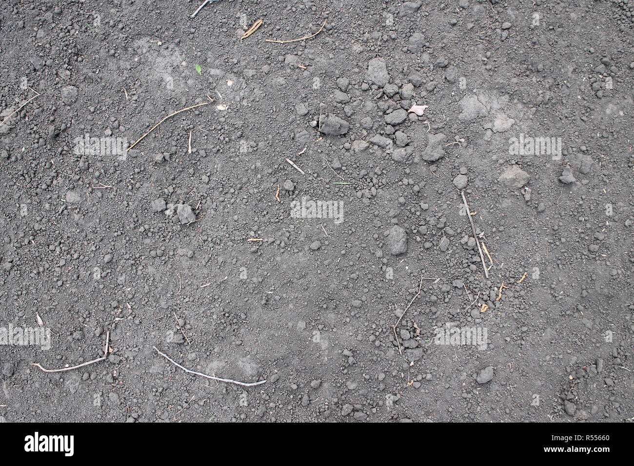 Texture of the earth. Nature background Stock Photo - Alamy