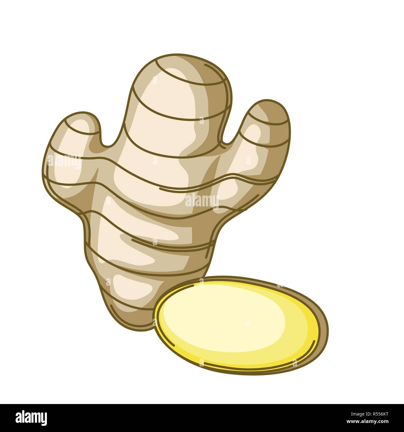 Illustration of ginger. Stylized root and pieces Stock Vector Image ...