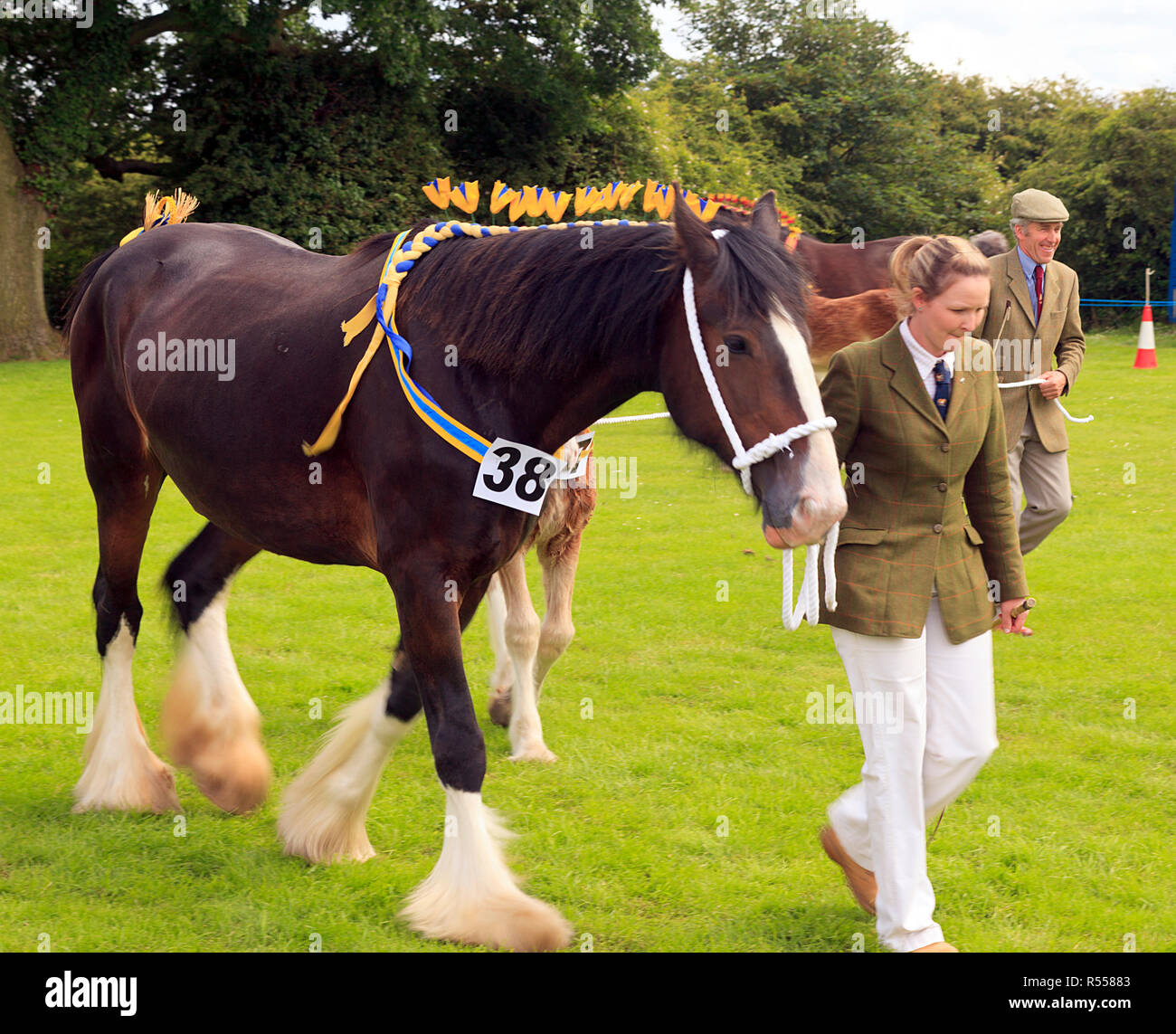 Heavy Horses in the parade ring with handlers at the Wrangle Country ...
