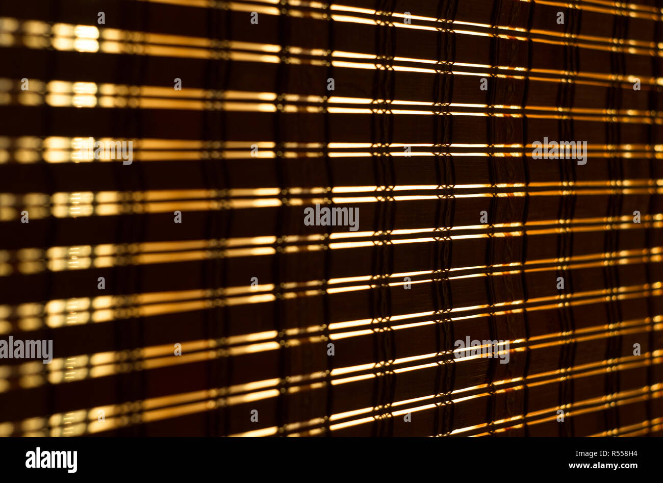 The interior of the home, sunlight shining through the bamboo blinds at ...