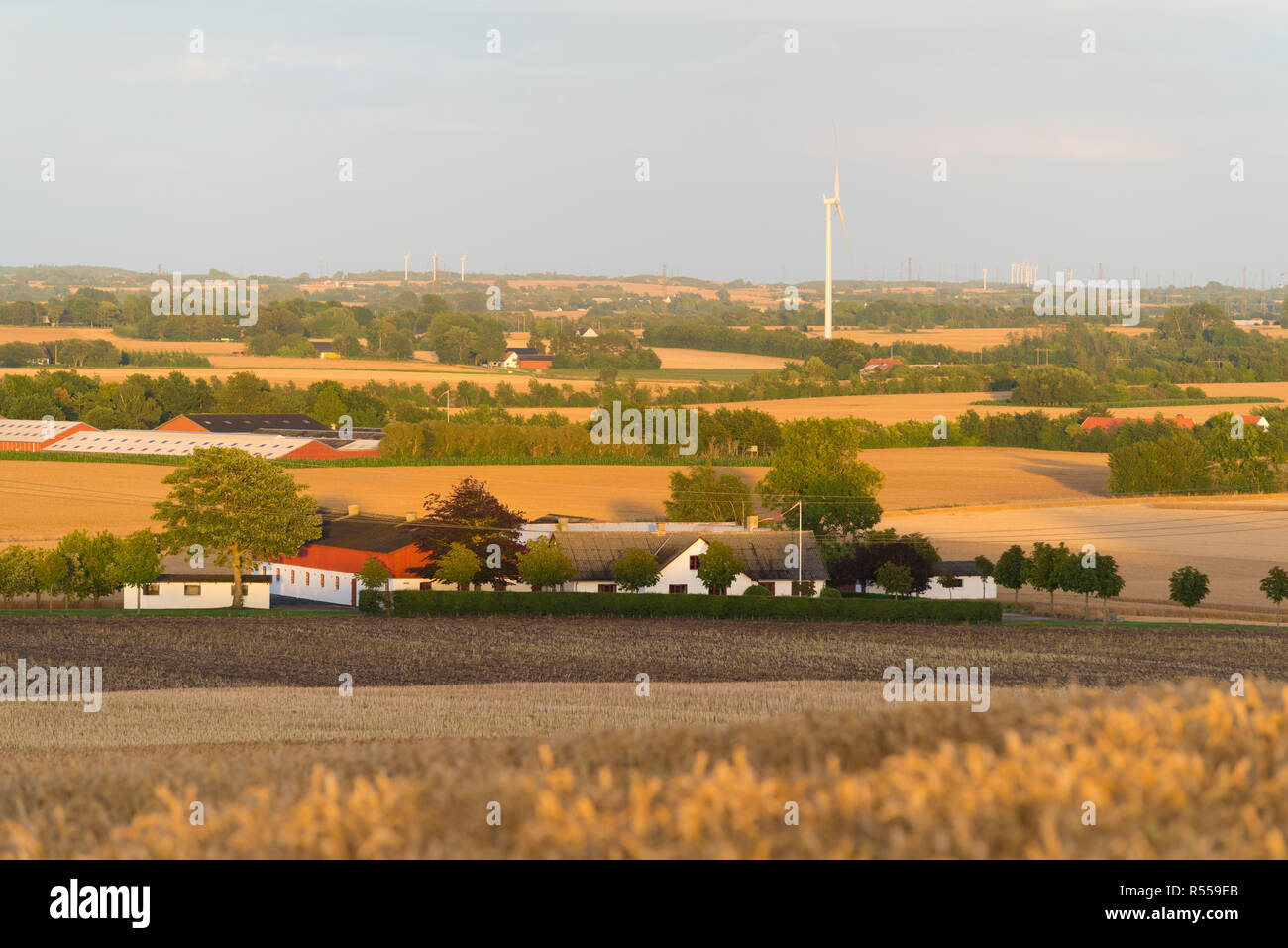 typical danish landscape Stock Photo - Alamy
