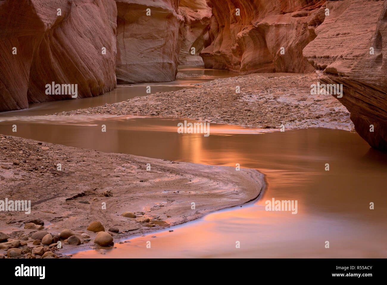 The beginning of the narrows of the Paria River canyon in southern Utah ...