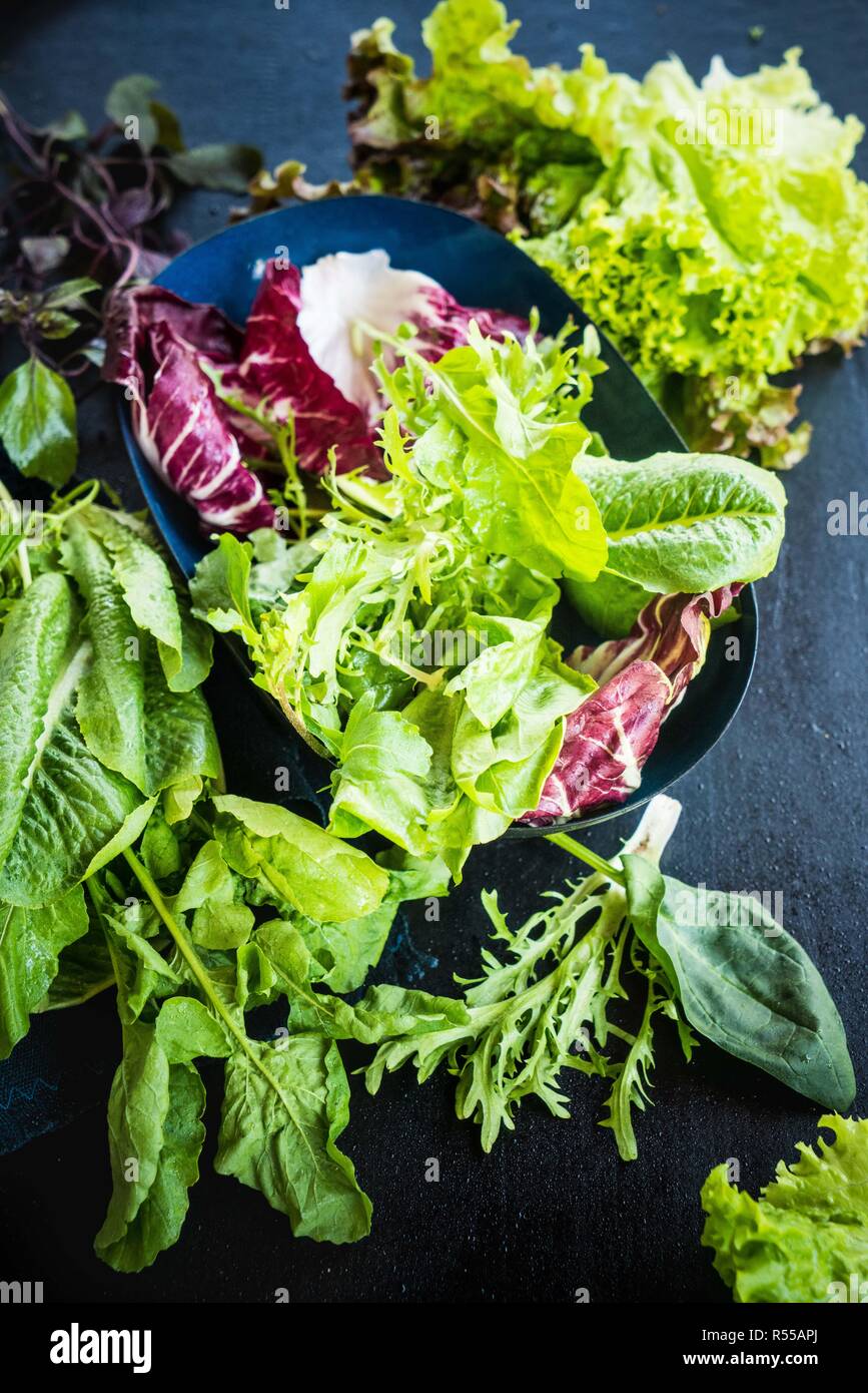 Lettuce varieties hi-res stock photography and images - Alamy