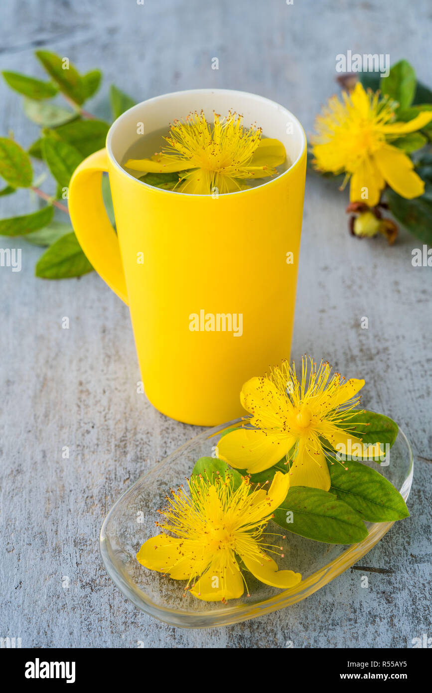 Herbal tea of St. John's wort Stock Photo - Alamy