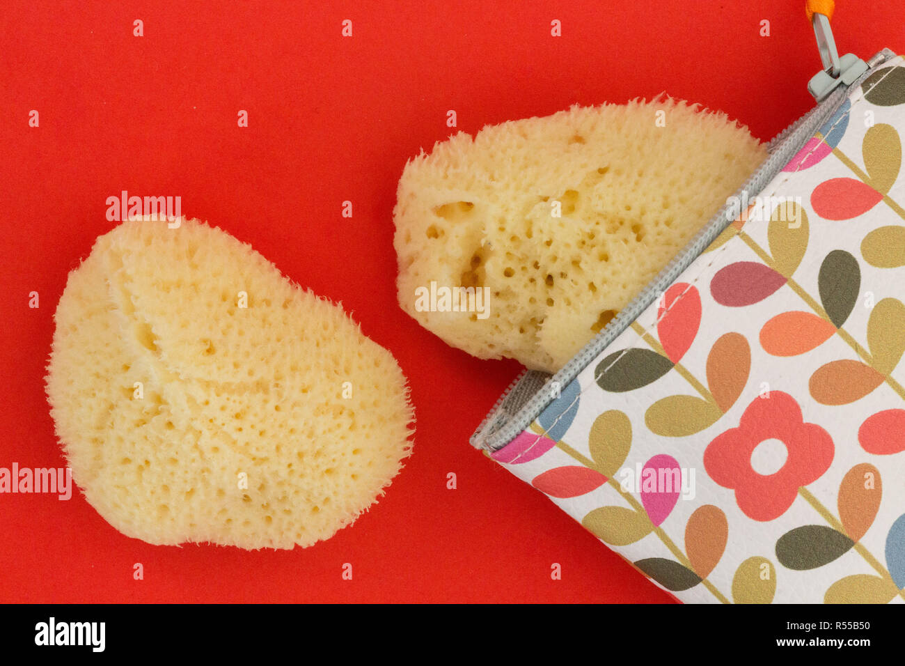 Menstrual sponge also used as a contraceptive Stock Photo - Alamy