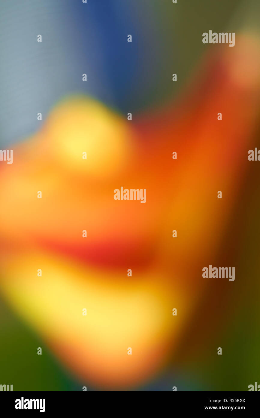 Ambiguous figure face hi-res stock photography and images - Alamy