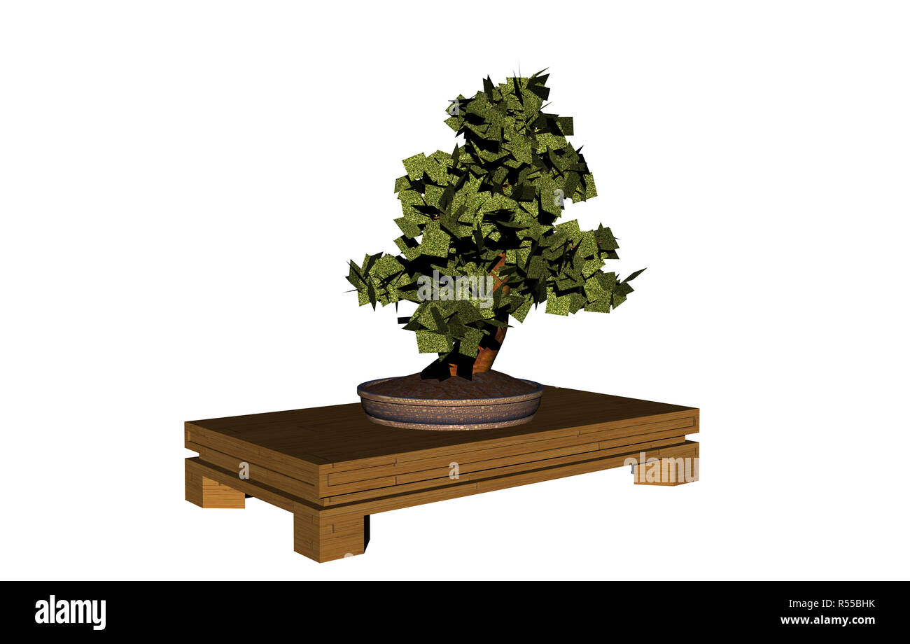 Deciduous bonsai tree Cut Out Stock Images & Pictures - Alamy