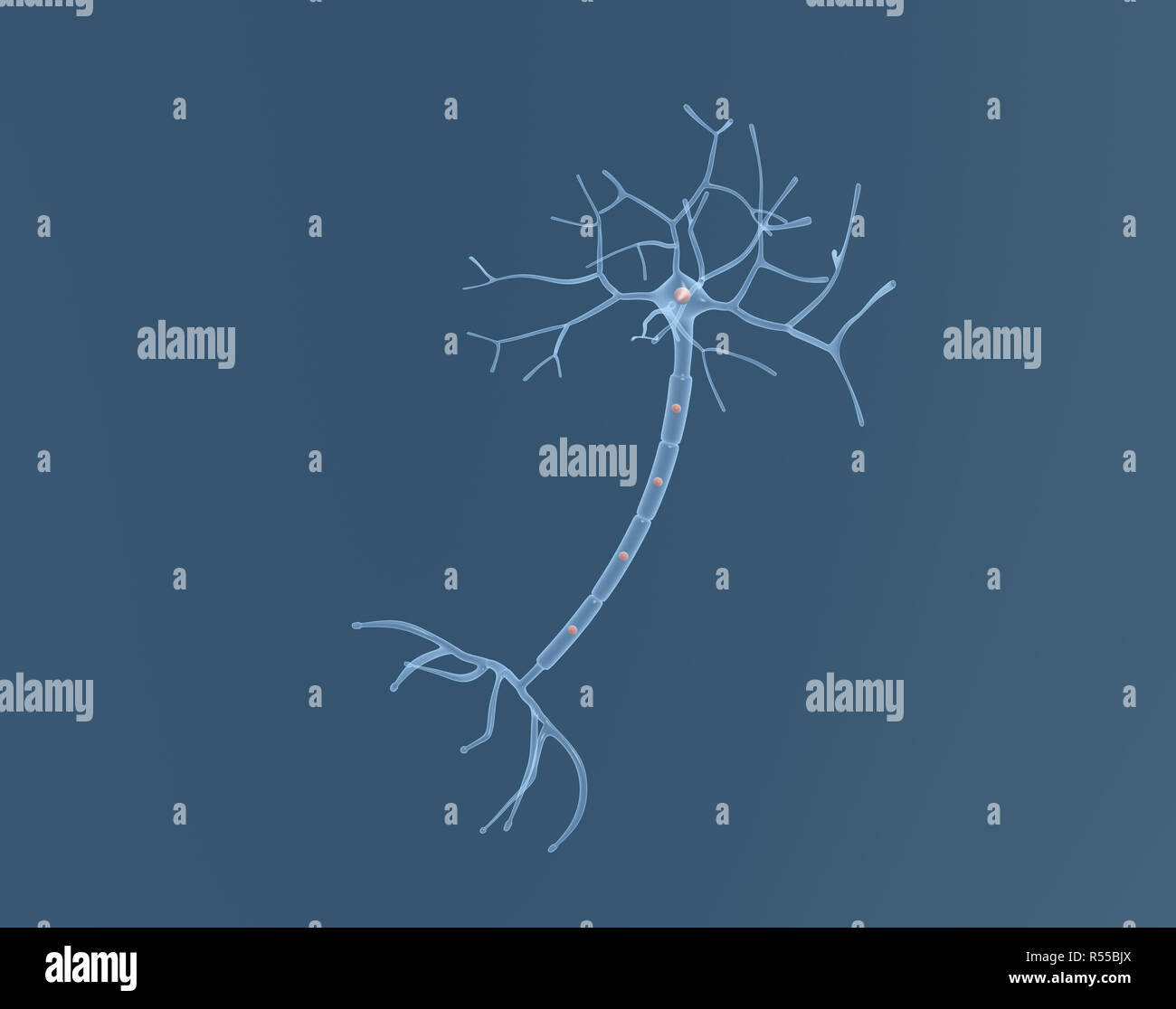 brain cells released Stock Photo - Alamy