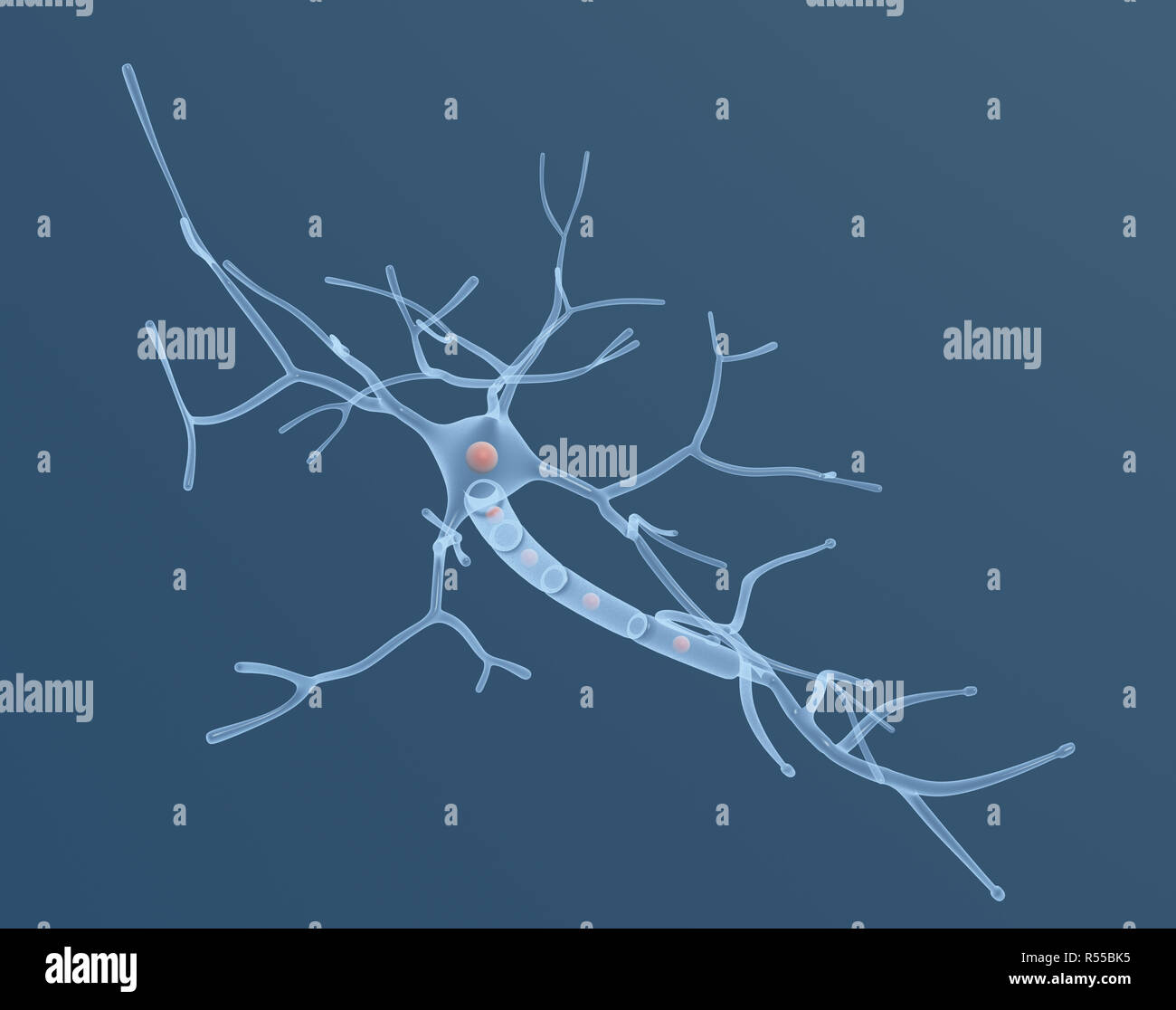 brain cells released Stock Photo - Alamy