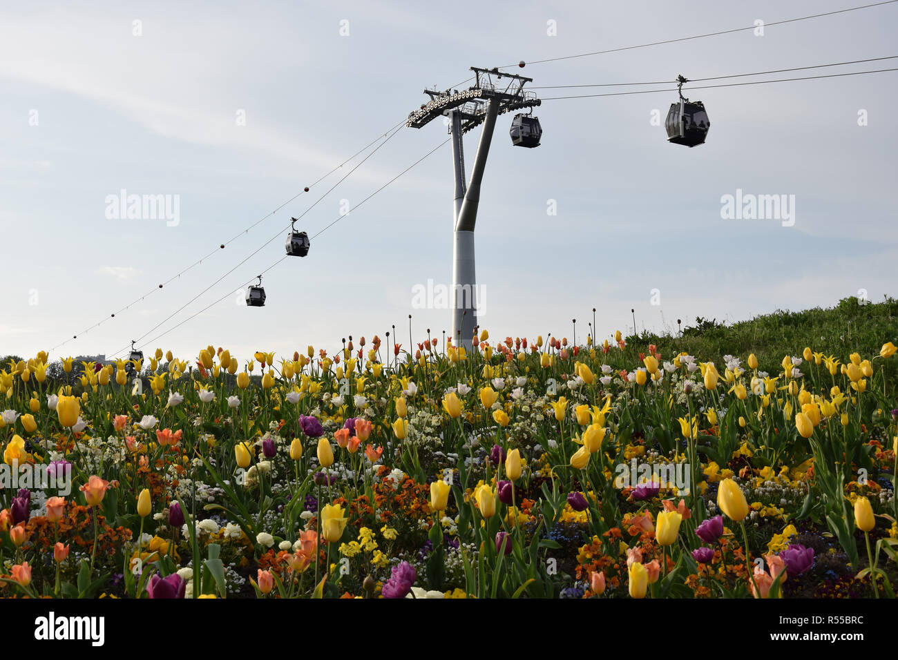 Iga berlin hi-res stock photography and images - Alamy