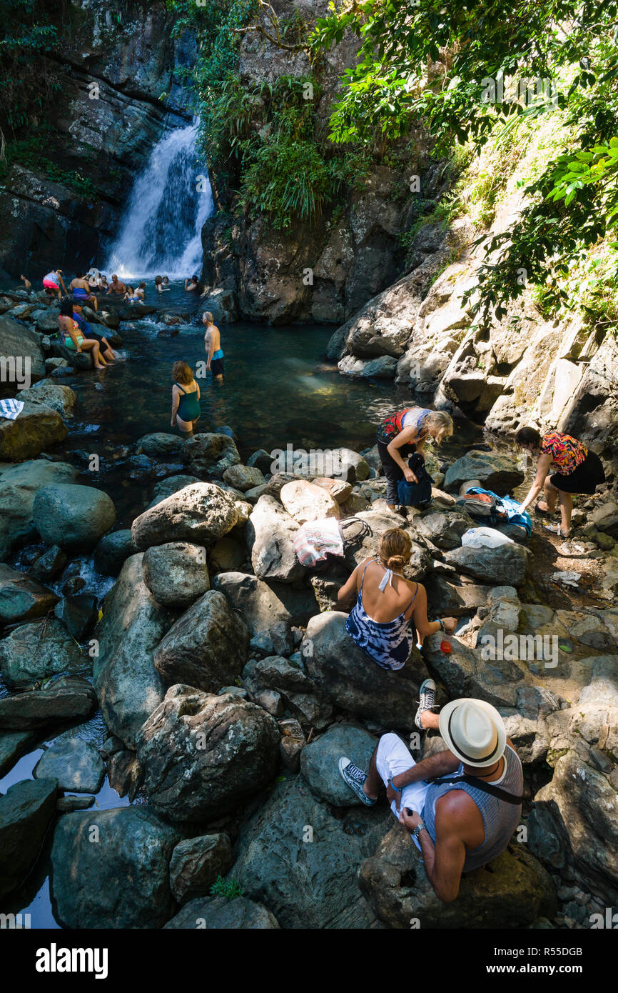 Puerto rico el yunque national forest hi-res stock photography and ...