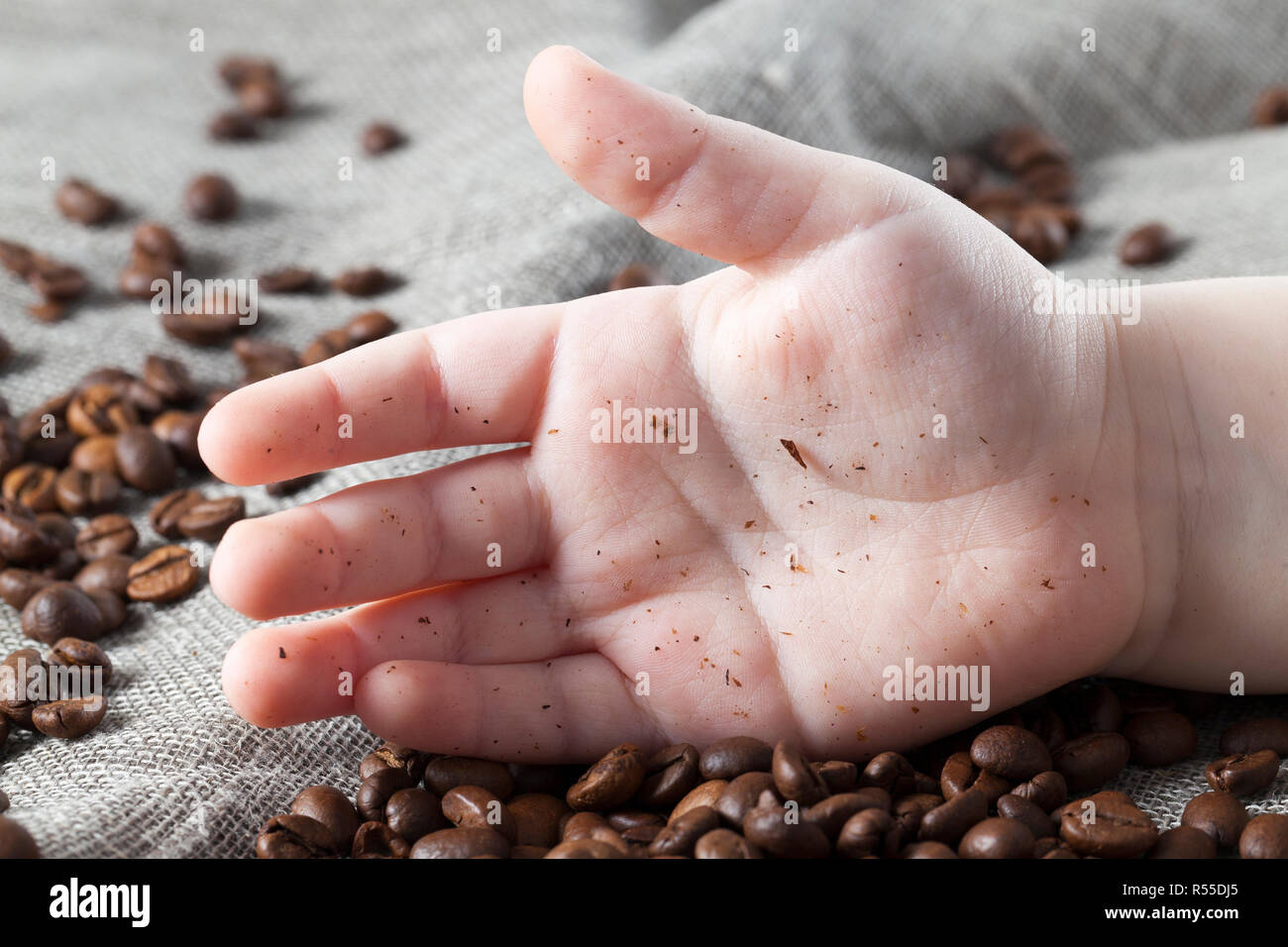 dirty hand from crumbs and rubbish from mature palms of coffee lying in ...