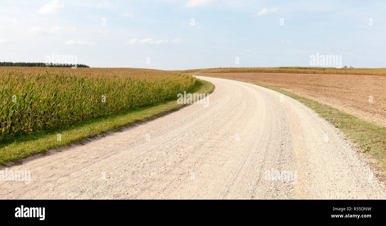 simple rural sandy road traveled by transport, blue sky in the ...