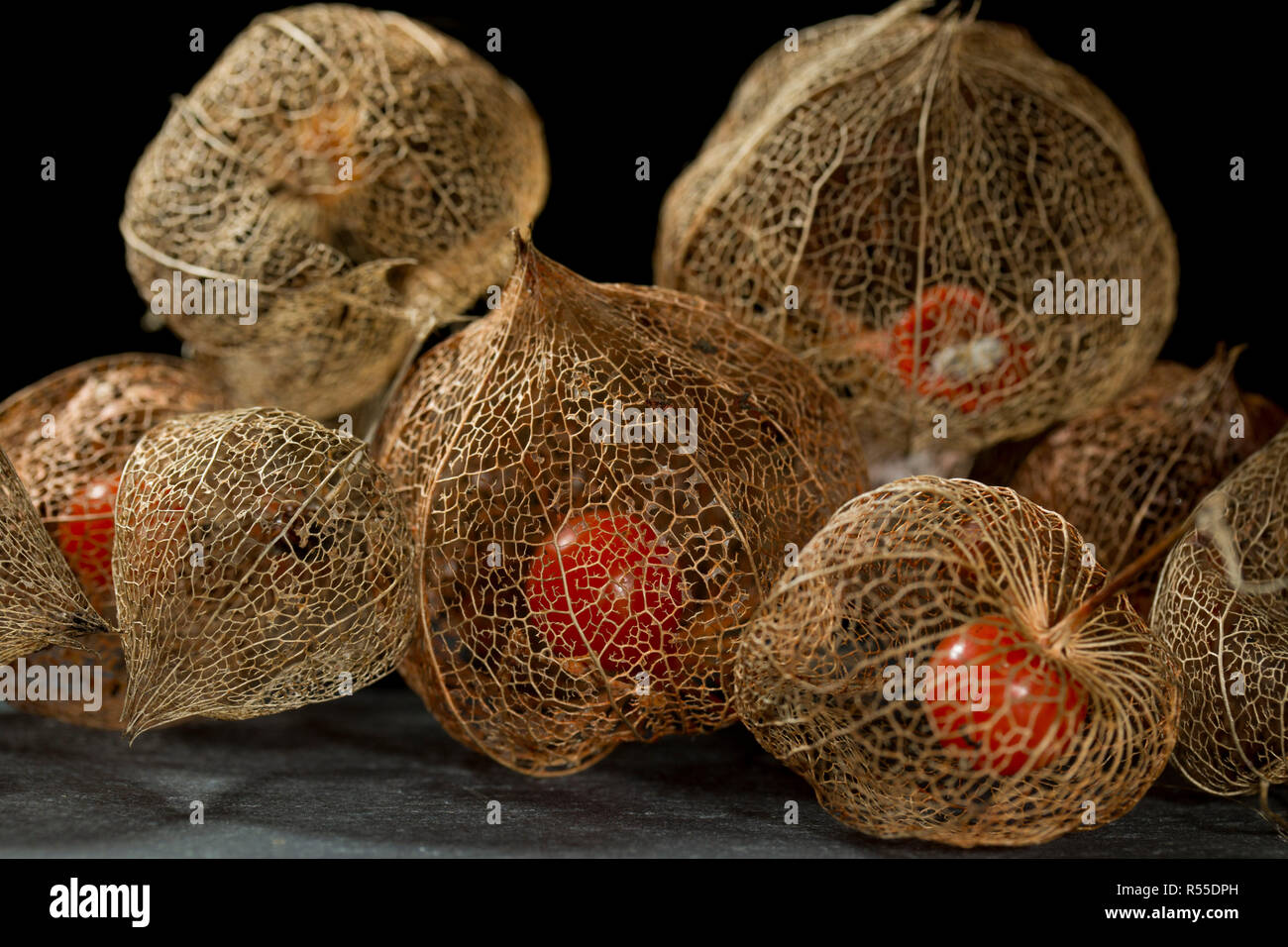 Seed dried pod husk hi-res stock photography and images - Alamy
