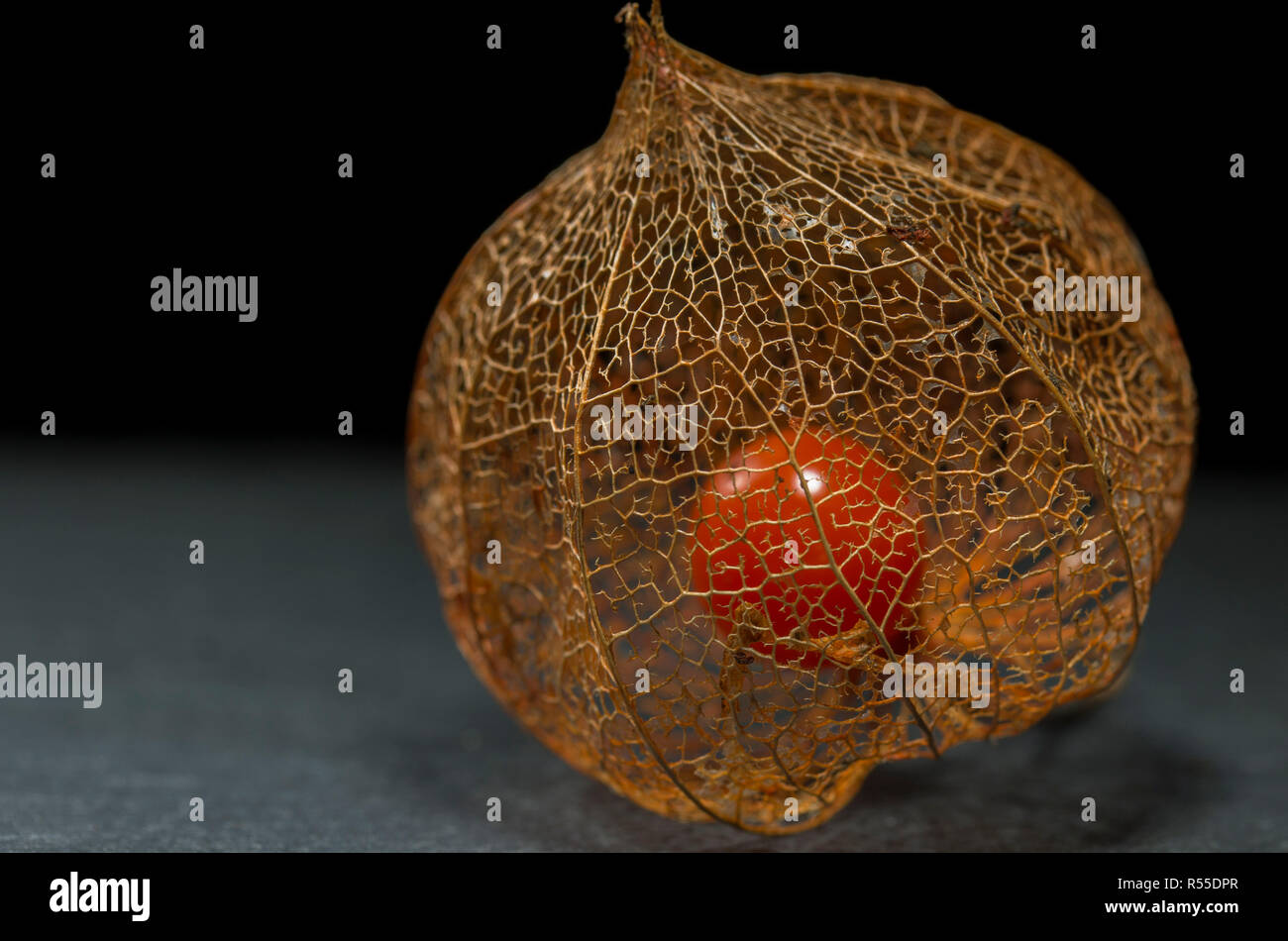 Seed Dried Pod Husk High Resolution Stock Photography and Images - Alamy