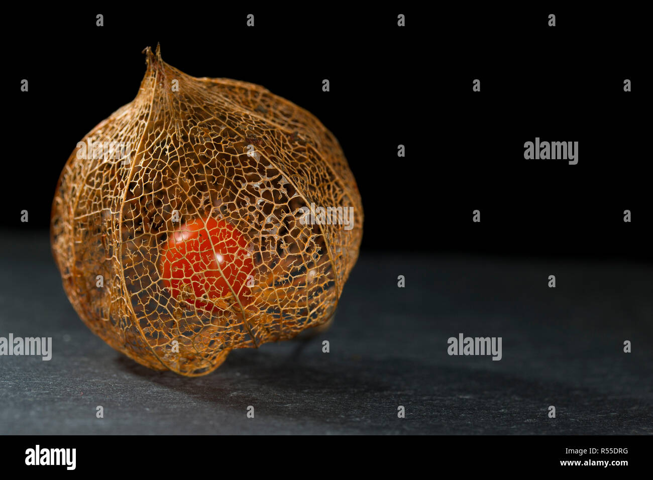Seed Dried Pod Husk High Resolution Stock Photography and Images - Alamy