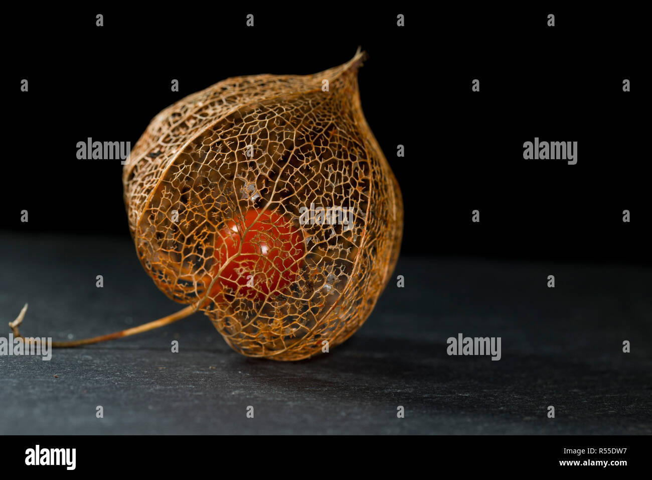 Seed dried pod husk hi-res stock photography and images - Alamy