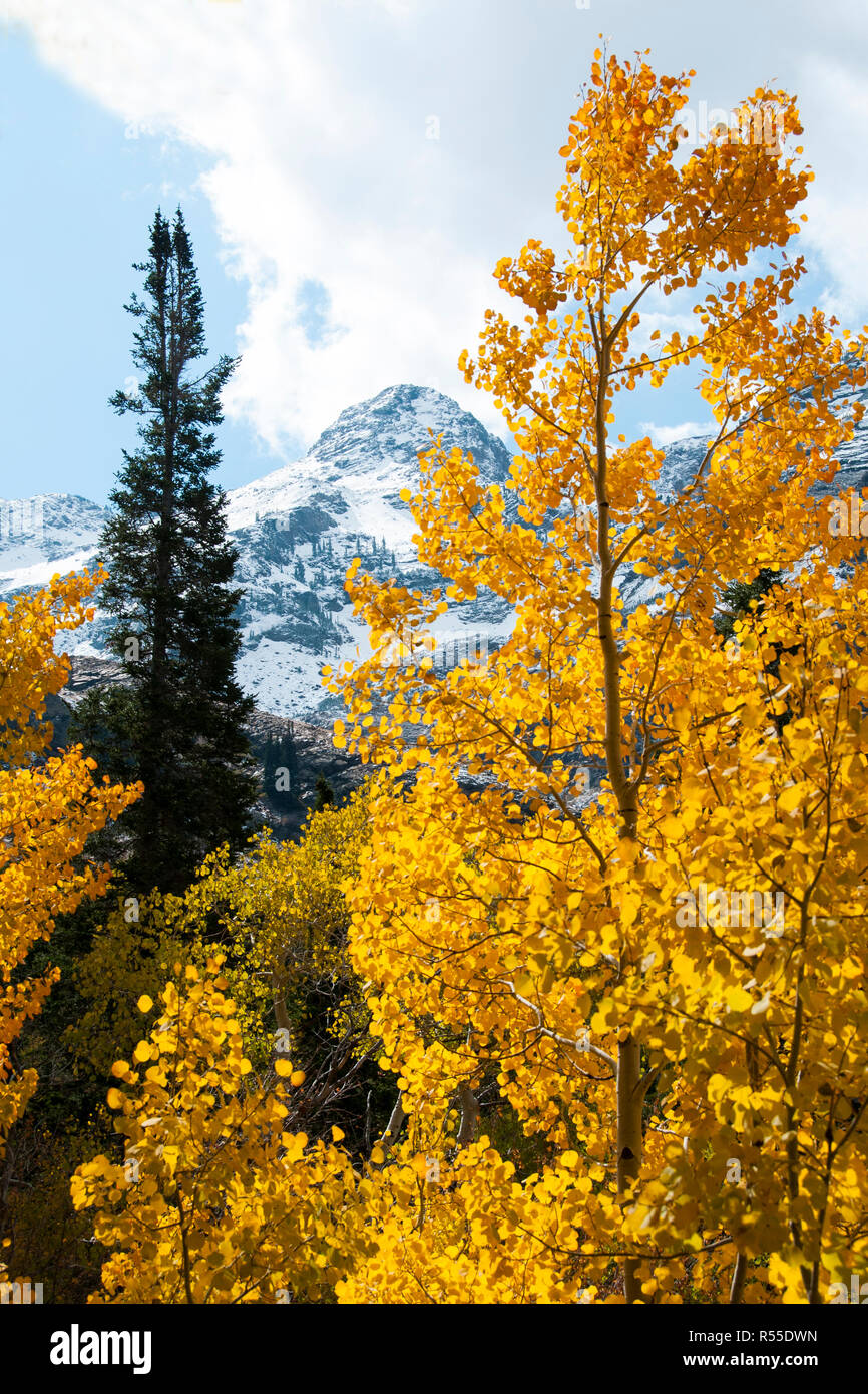 Utah mountain landscape hi-res stock photography and images - Alamy