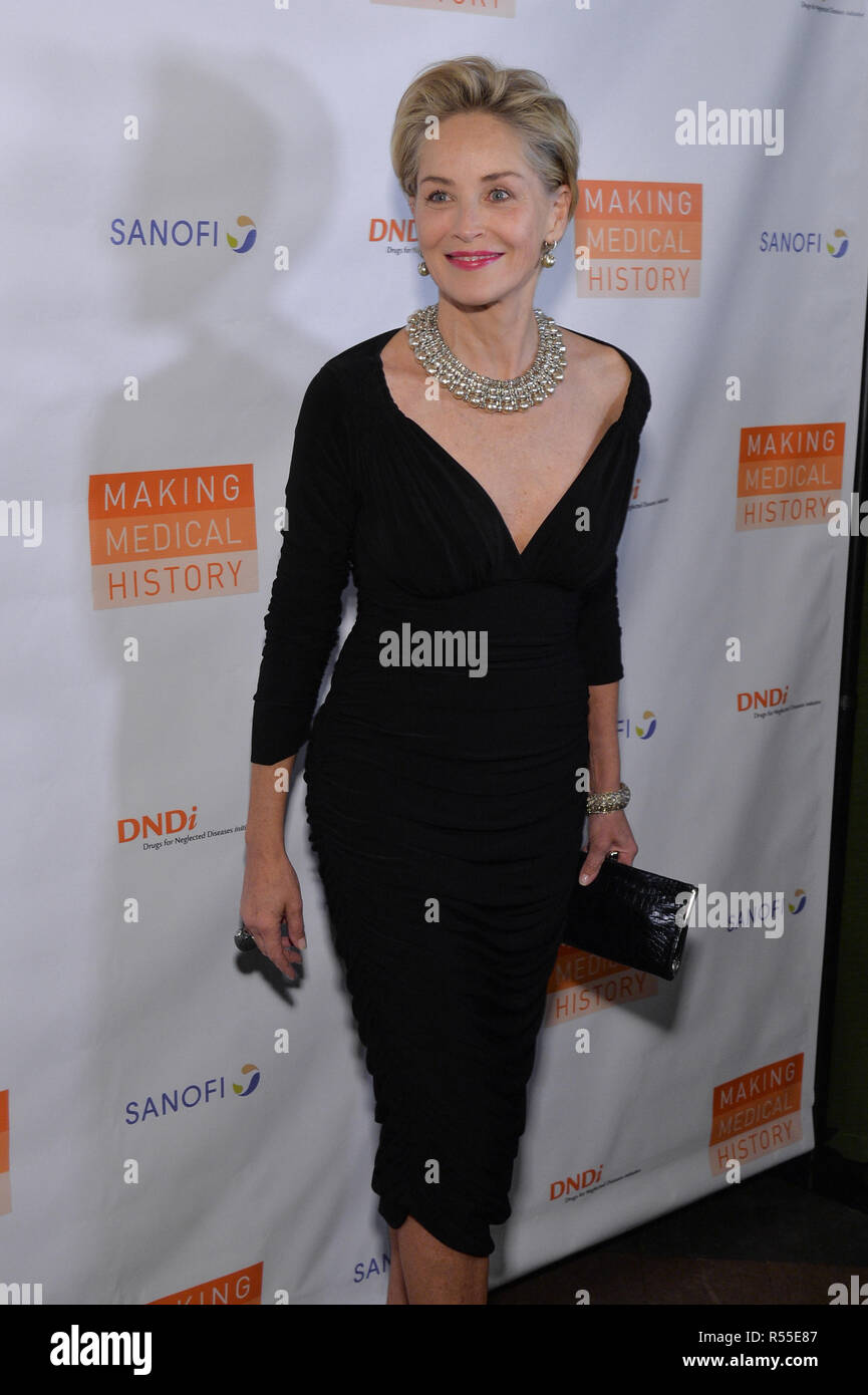 Sharon Stone attends the Drugs For Neglected Diseases Initiative's ...
