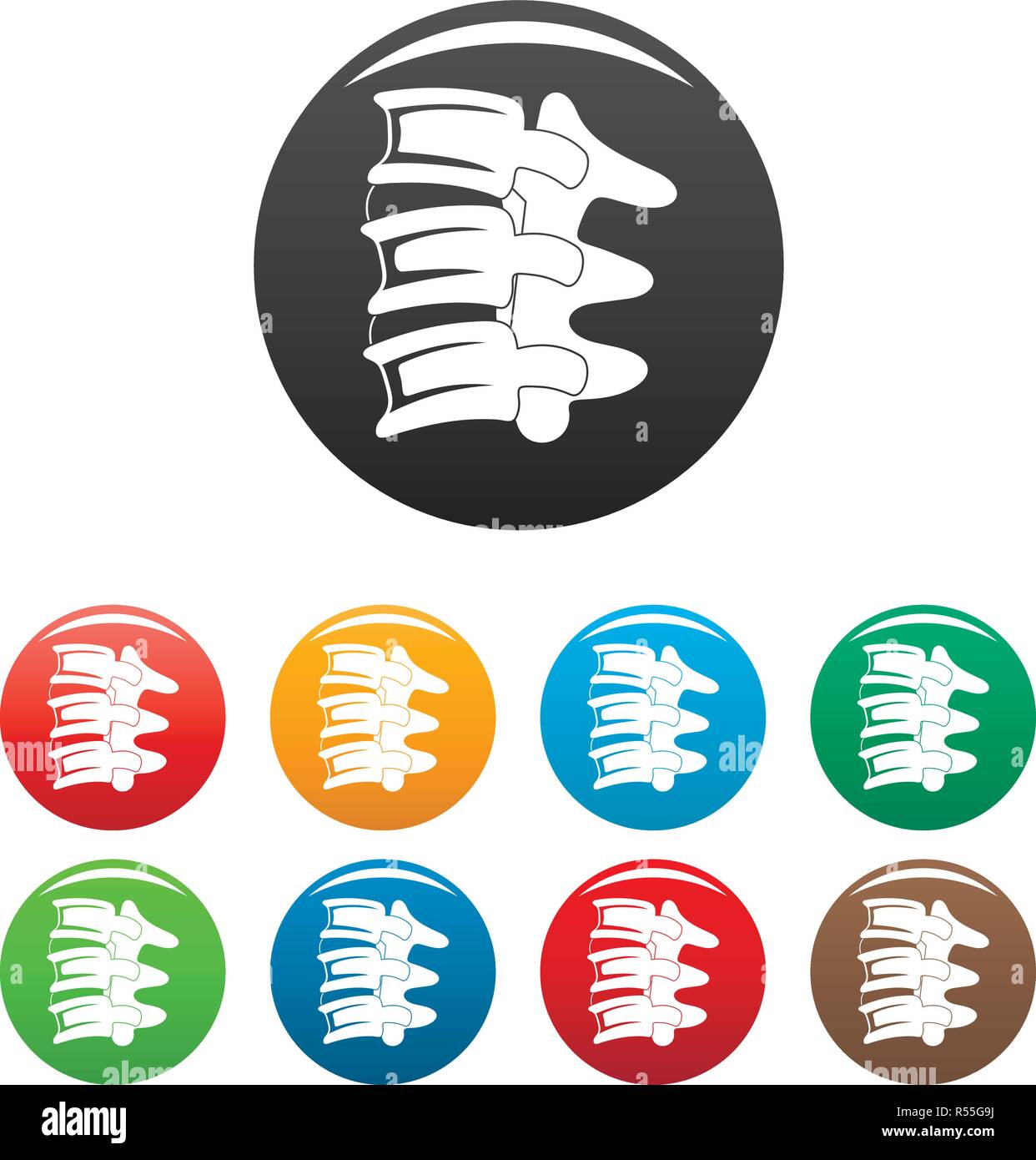 Vertebral process Stock Vector Images - Alamy