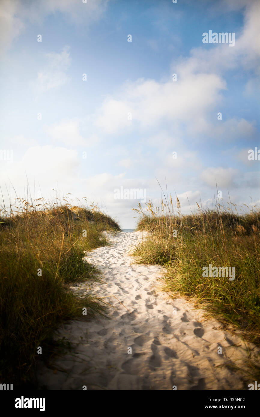 Pathway in sand dune to beach Stock Photo - Alamy