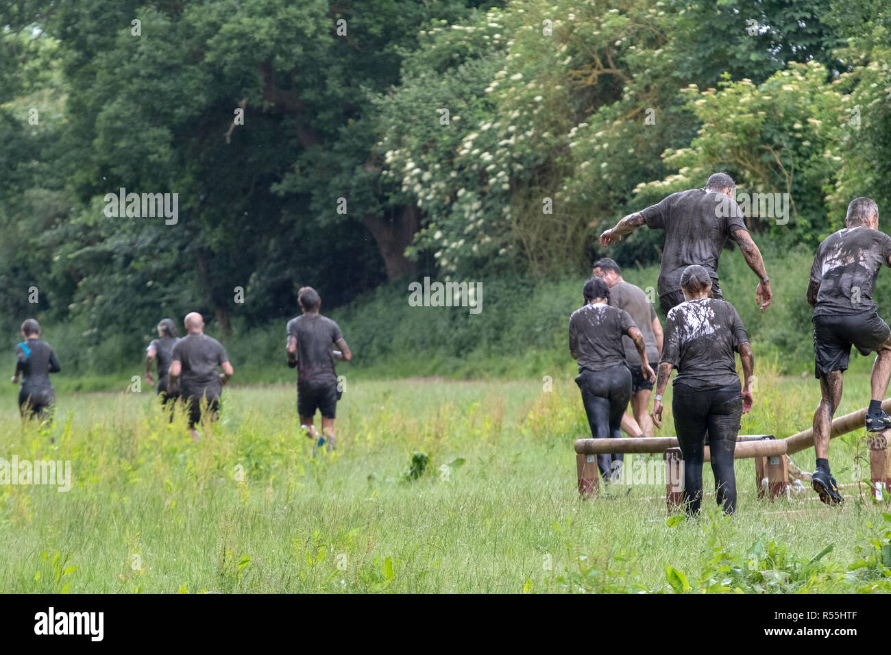 Very muddy obstacle course runners in a field of long grass Stock Photo ...