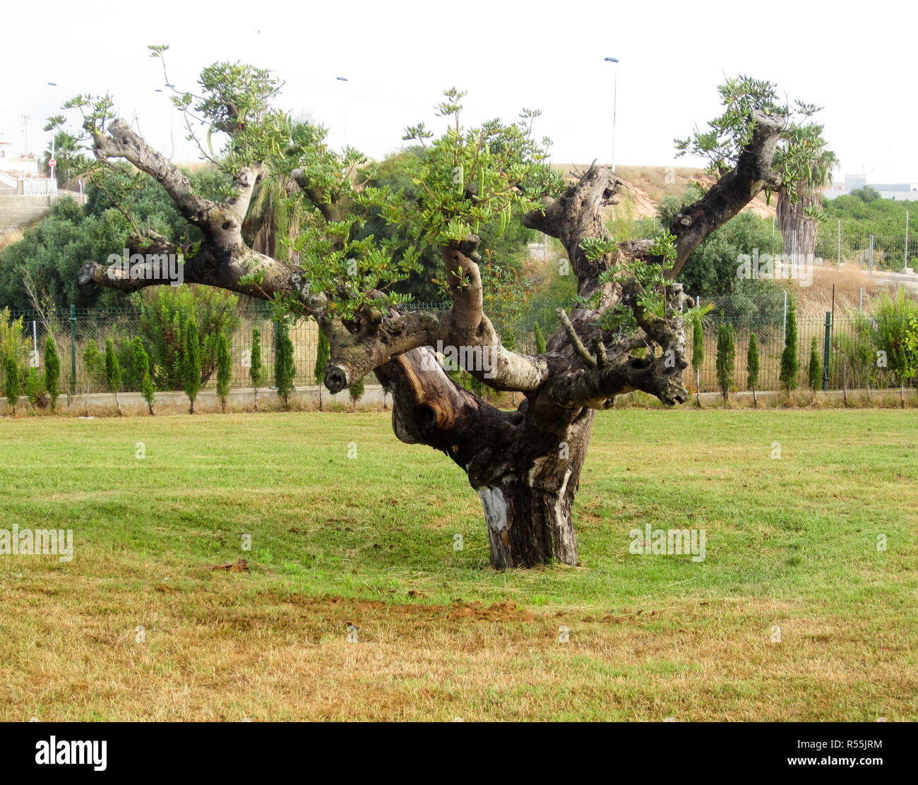 Backdrop of nodules hi-res stock photography and images - Alamy