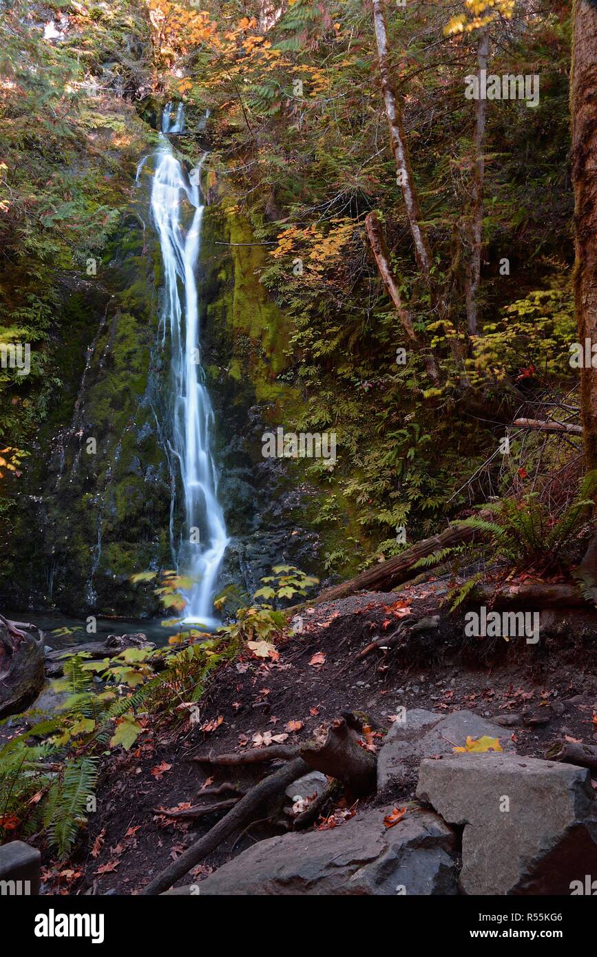 Madison falls olympic national park hi-res stock photography and images ...