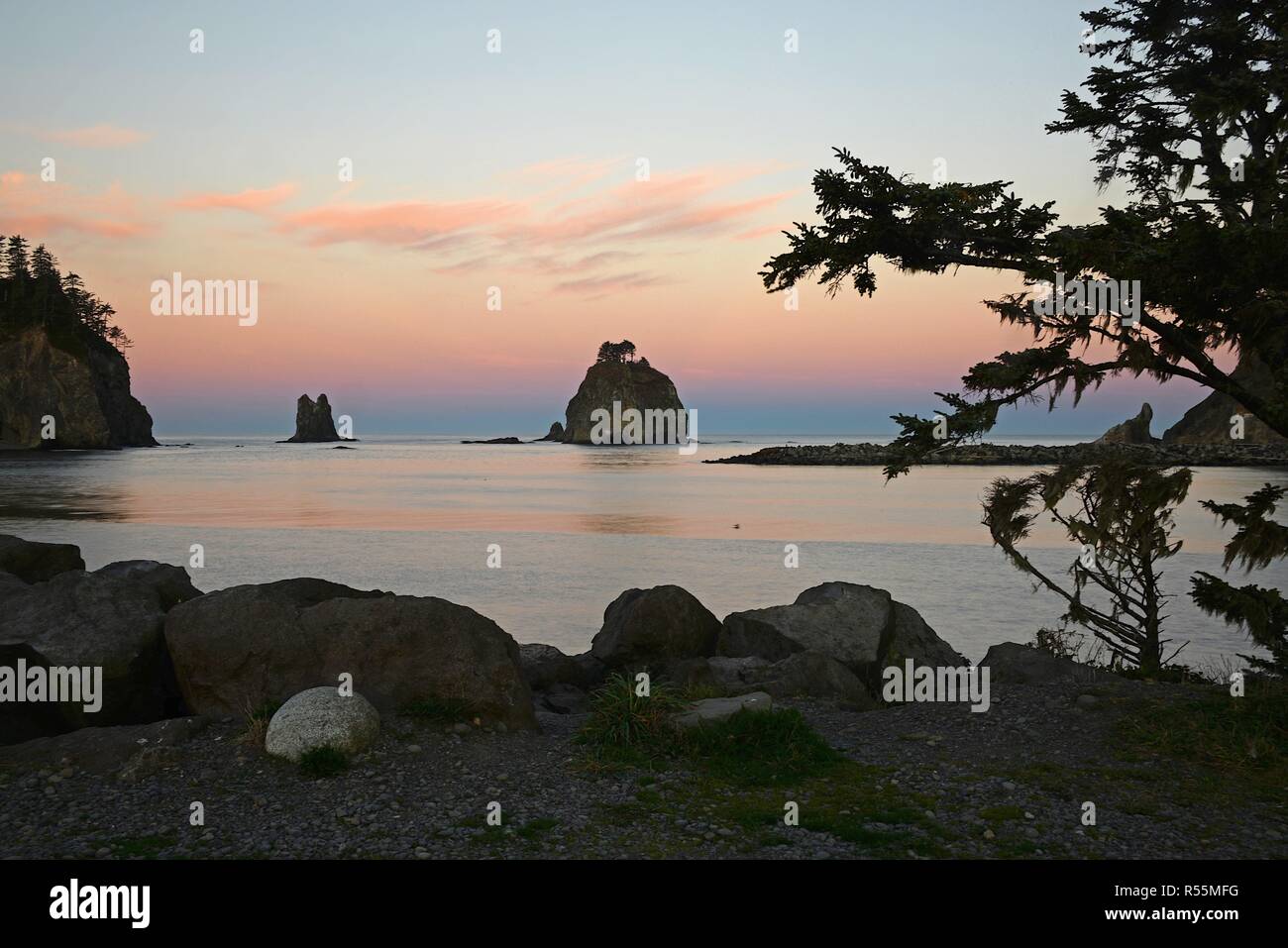 First Beach, Olympic National Park, Washington Stock Photo - Alamy