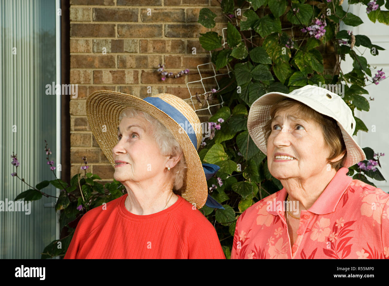 Two senior women arriving at a house Stock Photo - Alamy