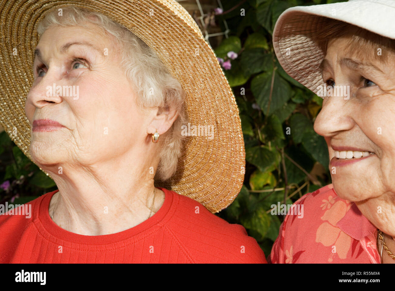 Portrait of two senior women Stock Photo - Alamy