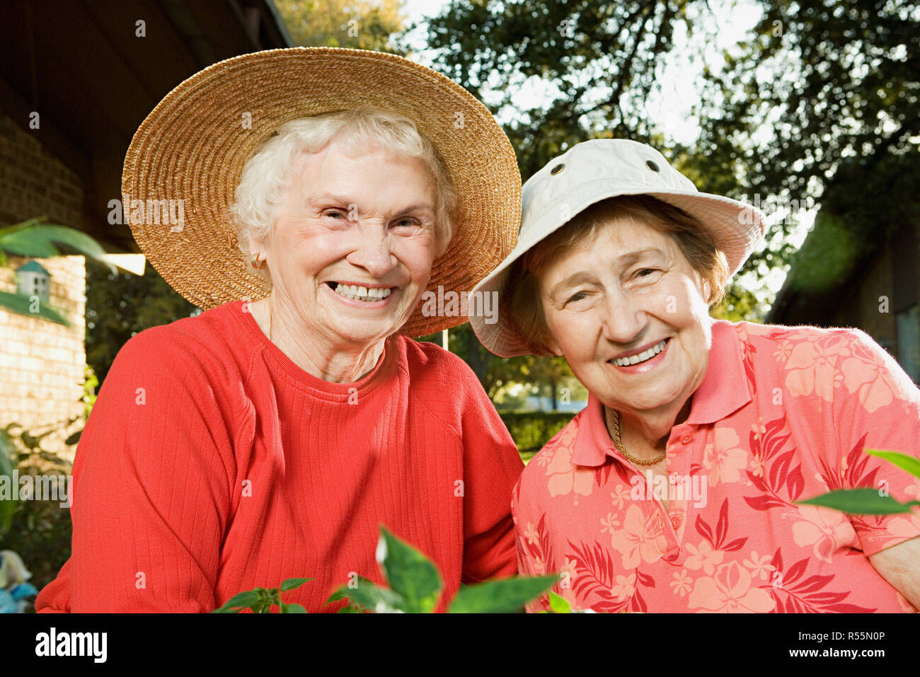 Portrait of two senior women Stock Photo - Alamy
