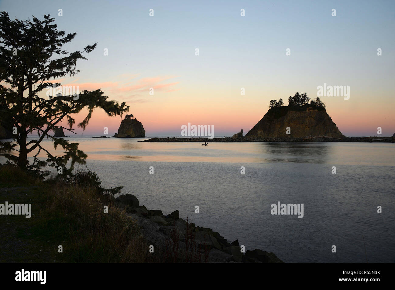 First Beach, Olympic National Park, Washington Stock Photo - Alamy