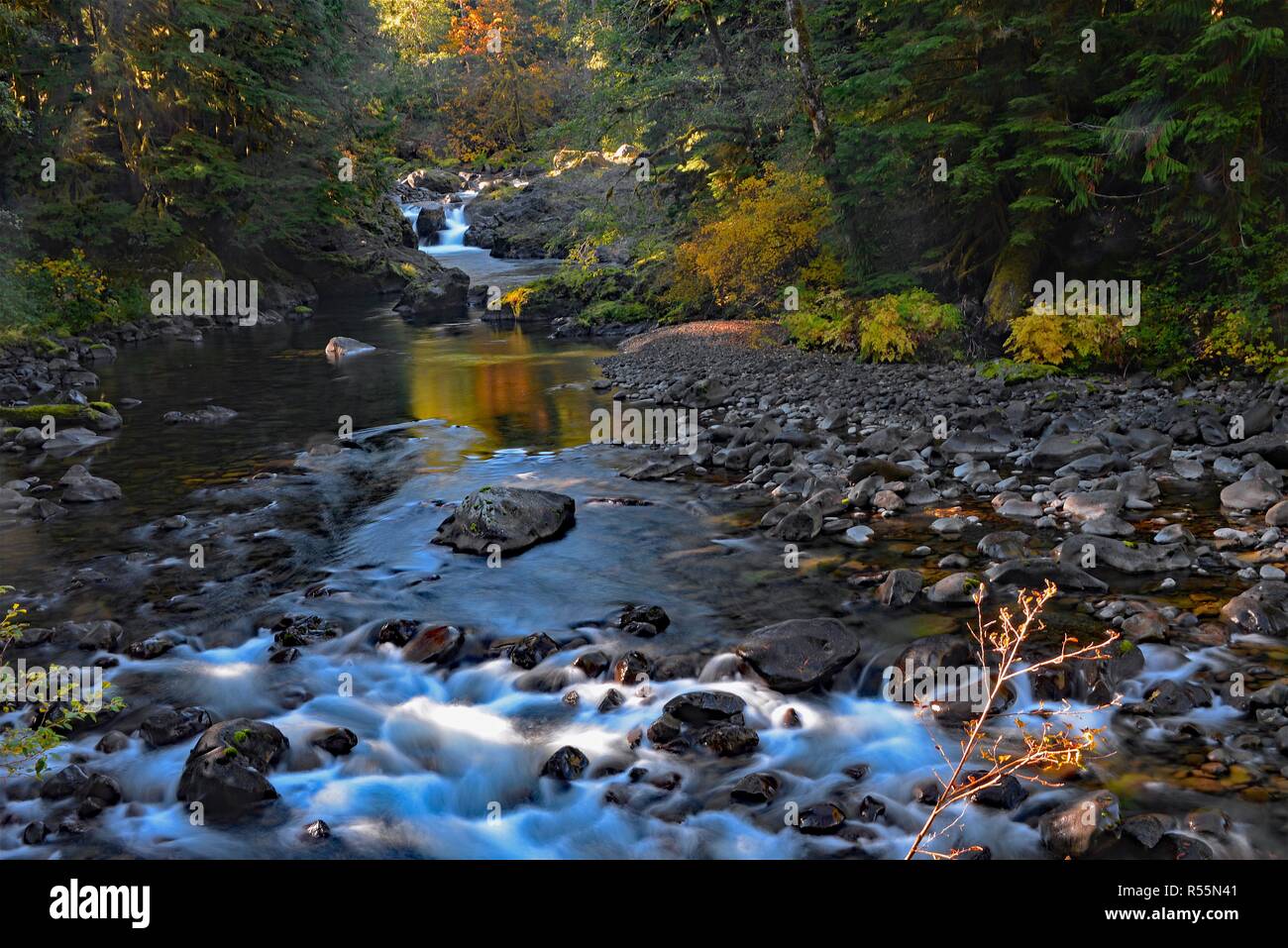 Sol Duc River Washington High Resolution Stock Photography and Images ...